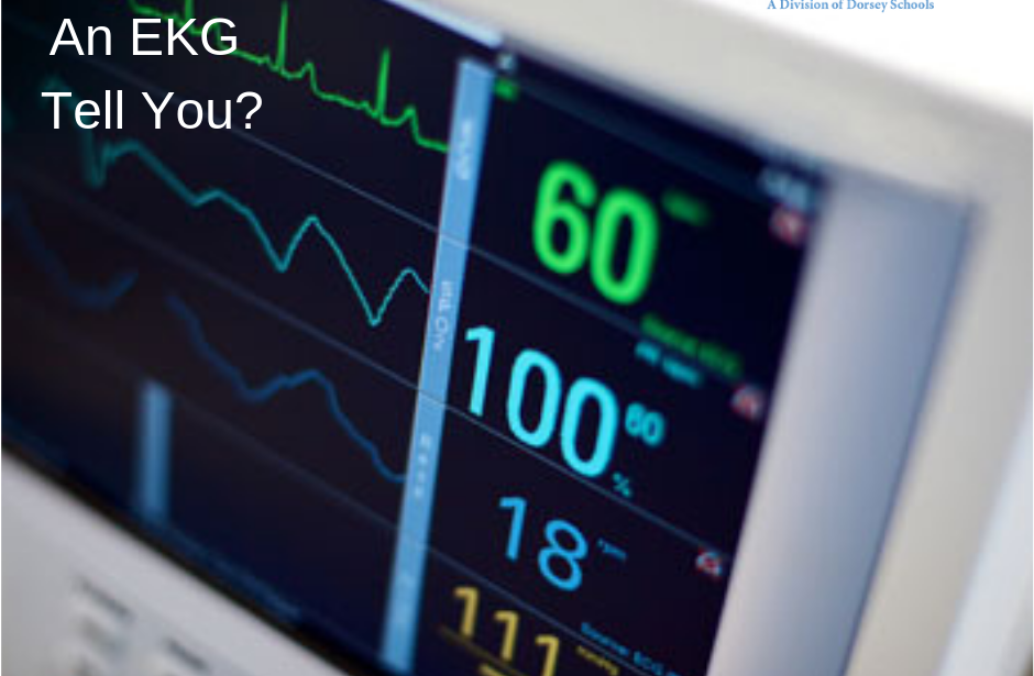 ECG/EKG Classes at Training Direct | Bridgeport, CT